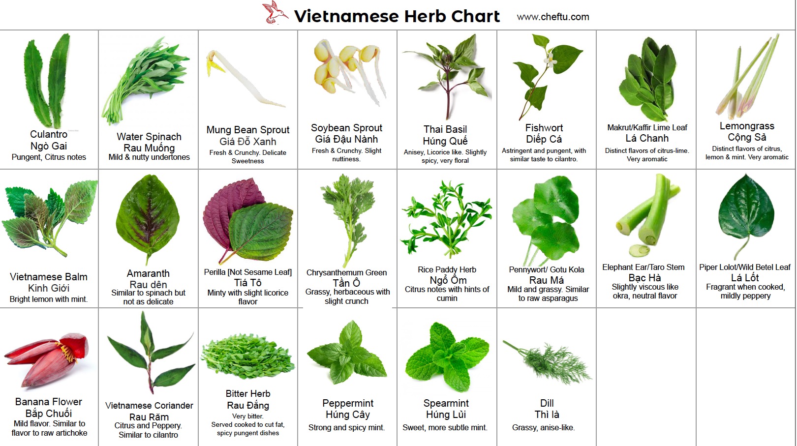 Vietnamese Herbs And Vegetables 30 Most Popular Vietnamese Herbs And